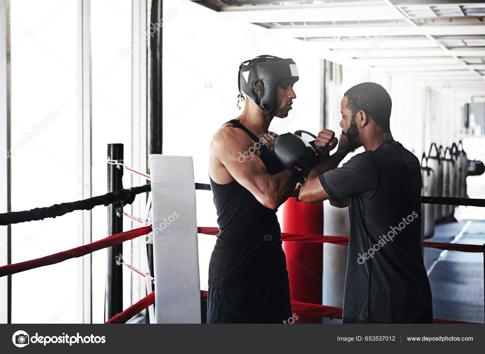 Two Greatest One Ring Man Training Boxing Ring Coach — Stock Photo ...