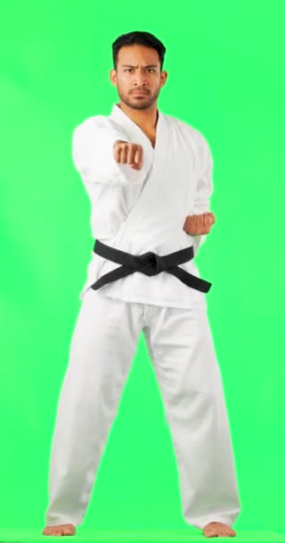 349 Green screen punch Videos, Royalty-free Stock Green screen punch ...