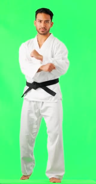 Martial Arts Karate Man Kick Green Screen Background Studio Focus ...