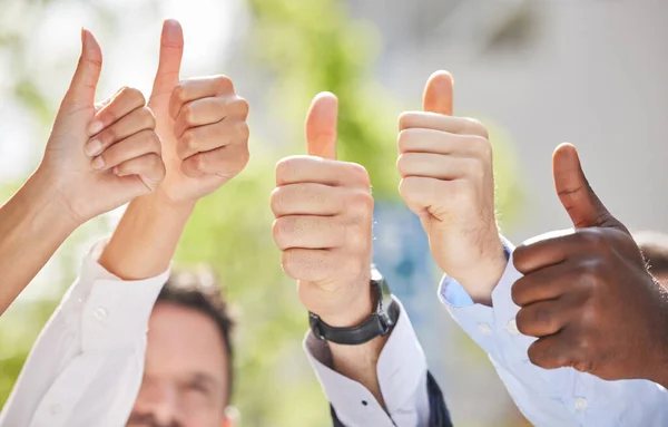 Business People Hands Thumbs Winning Success Teamwork Achievement Office Hand Stock Photo by ...