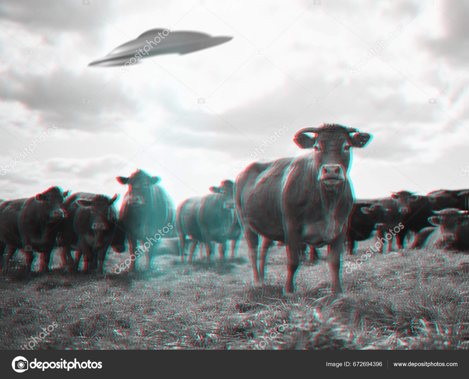 Ufo Abduction Cow