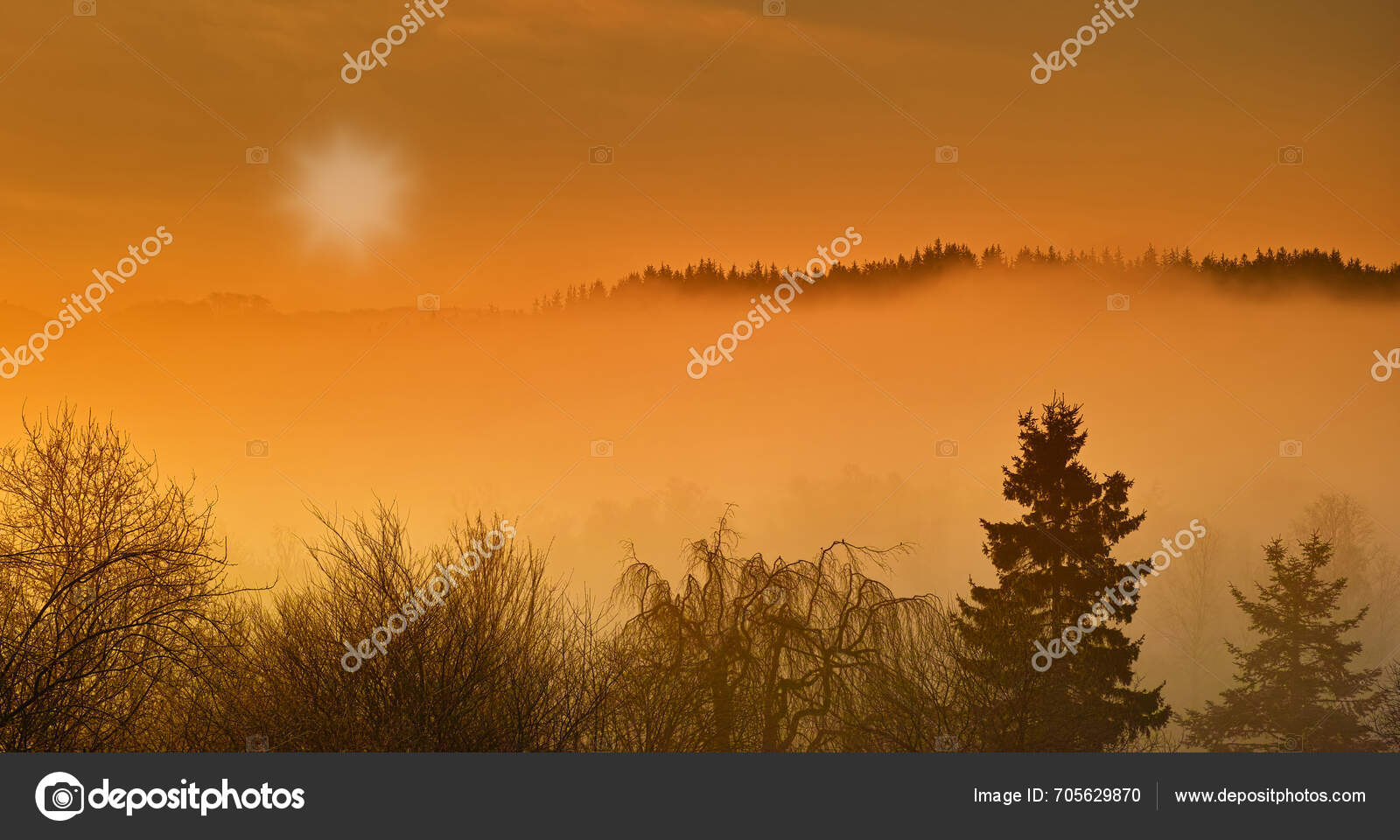 Tree Forest Mountain Mist Landscape Countryside Growth Sunset Panorama ...