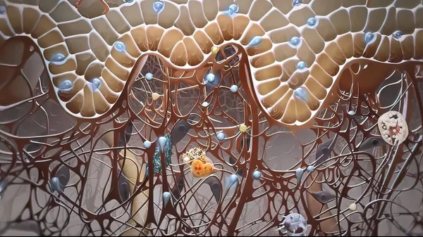 Skin Destruction Medical Illustration Stock Photo by ©soundpic 619029066