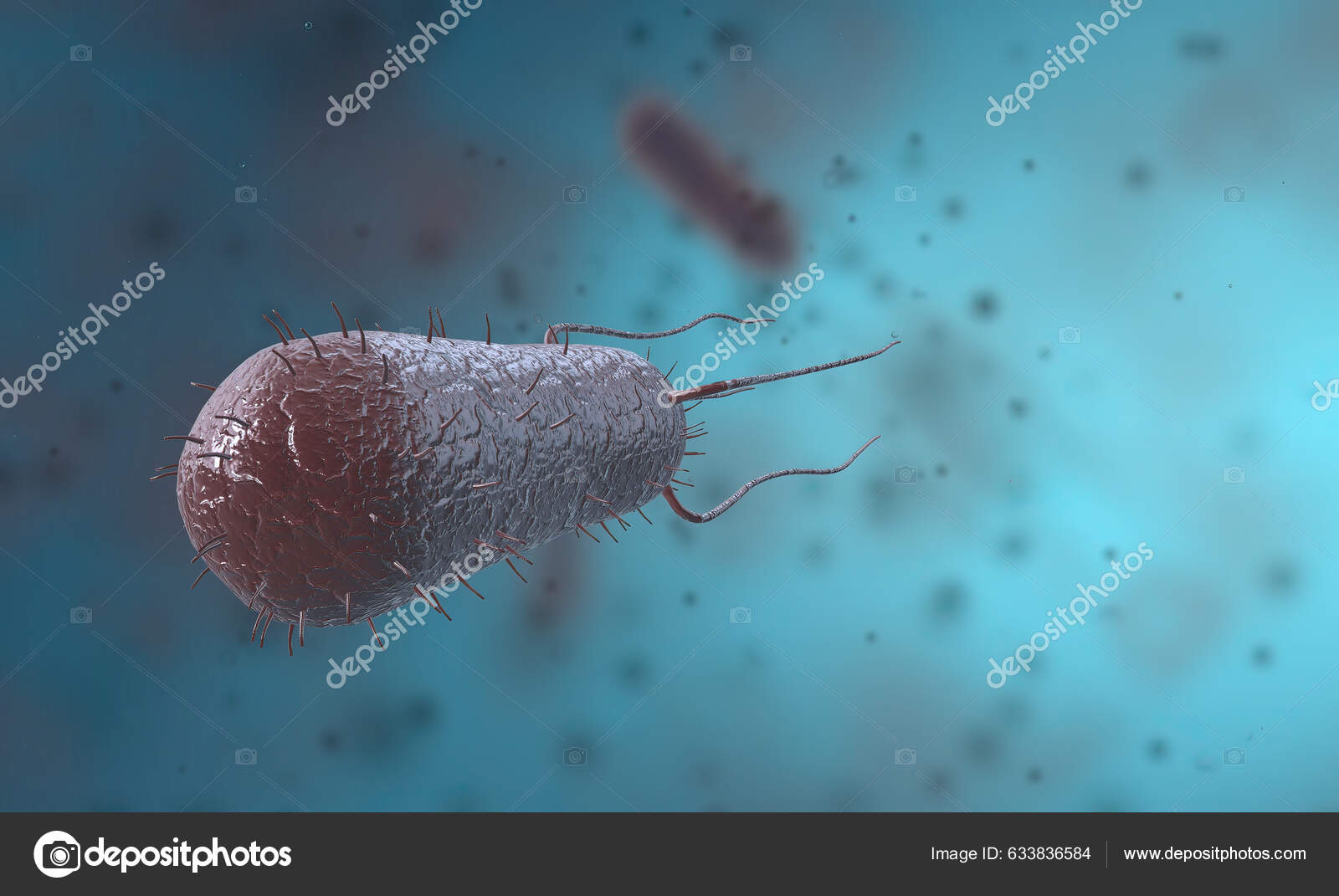 Bacillus Gram Positive Spore Forming Bacterium Form Rods Rods ...