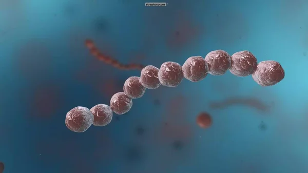 Plasmid of bacteria Stock Photos, Royalty Free Plasmid of bacteria ...