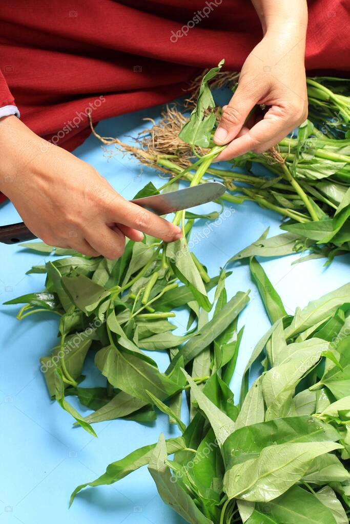 A Women Cut Water SPinach Stem with Rustic Knife 2024