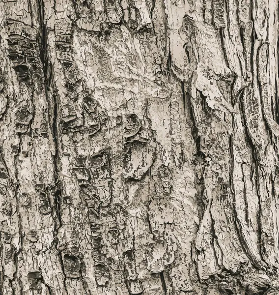 22,473,263 Tree texture Vector Images | Depositphotos