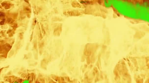 5,638 Fire transparent Videos, Royalty-free Stock Fire transparent ...