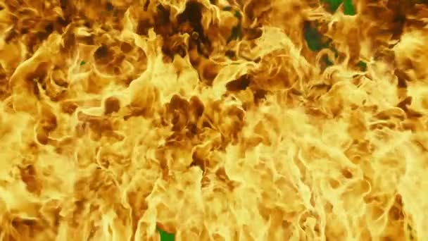 6,128 Fire green screen Stock Videos, 4K & HD Footage | Depositphotos