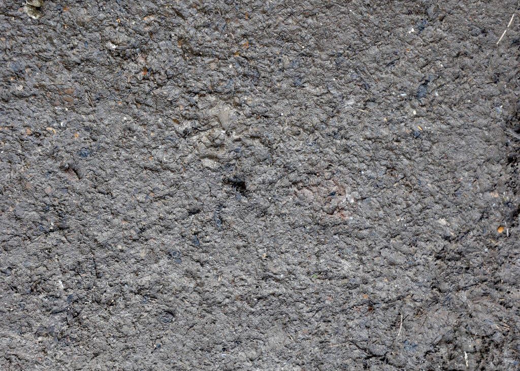 Top view, ground texture. Background of wet soil 2023