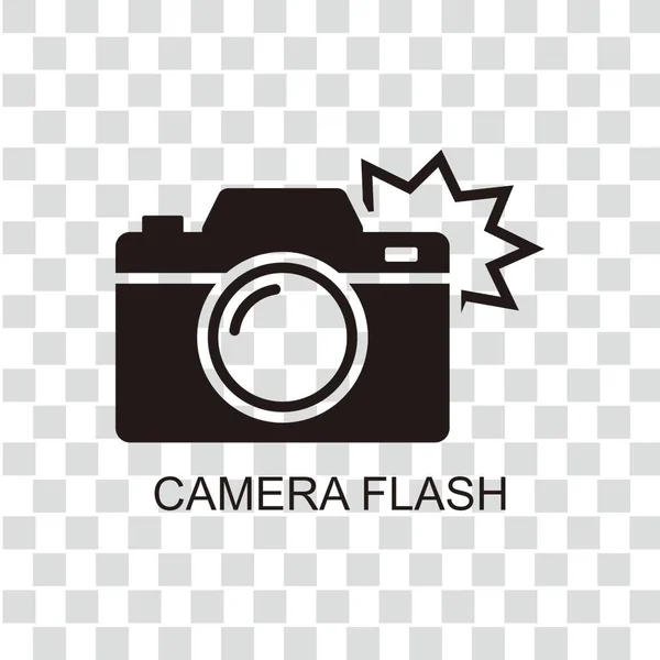 Camera Flash Icon