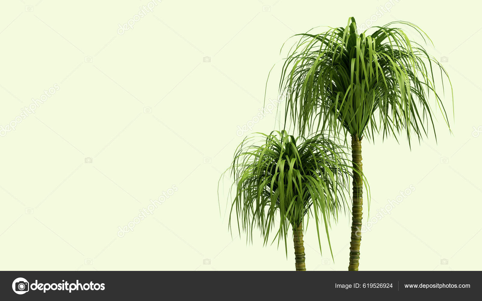 Render Two Green Palm Trees Green Pastel Background Summer Vacation ...