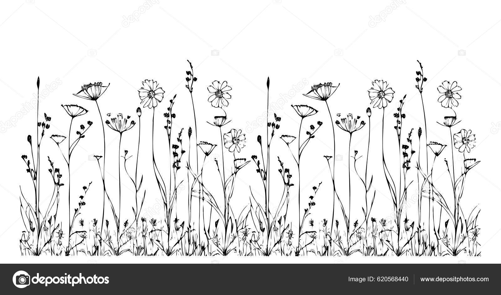 Wildflowers Hand Drawn Sketch Doodle Style Vector Illustration Stock ...