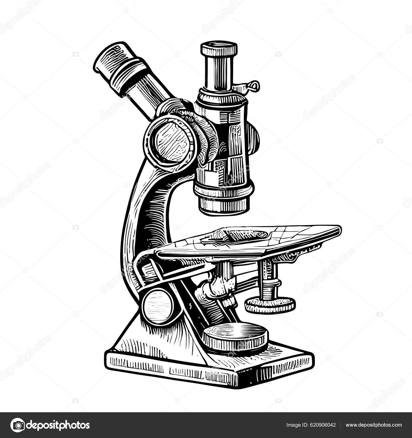 Microscopio Vintage Realistico Disegno Mano Illustrazione Vettoriale ...