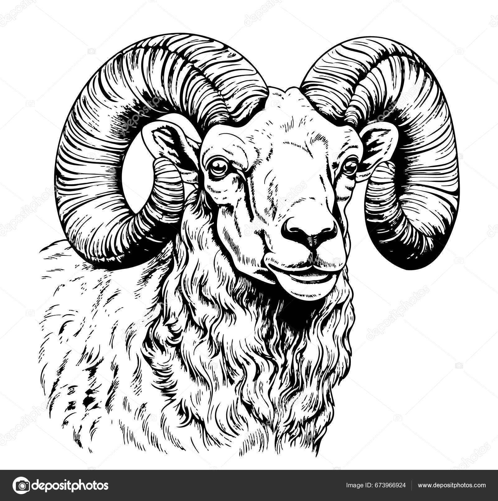Bauernhof Widder Hand Gezeichnete Skizze Vektor Stock-Vektorgrafik von ...