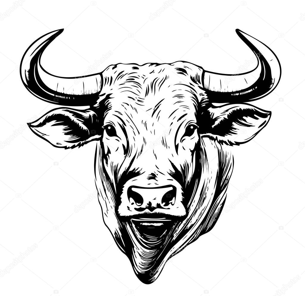 Cabeza Toro Logotipo Bosquejo Dibujado Mano Vector Vector de stock por ...
