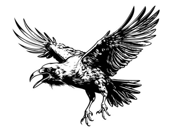 26,026,971 Flying raven Vector Images | Depositphotos