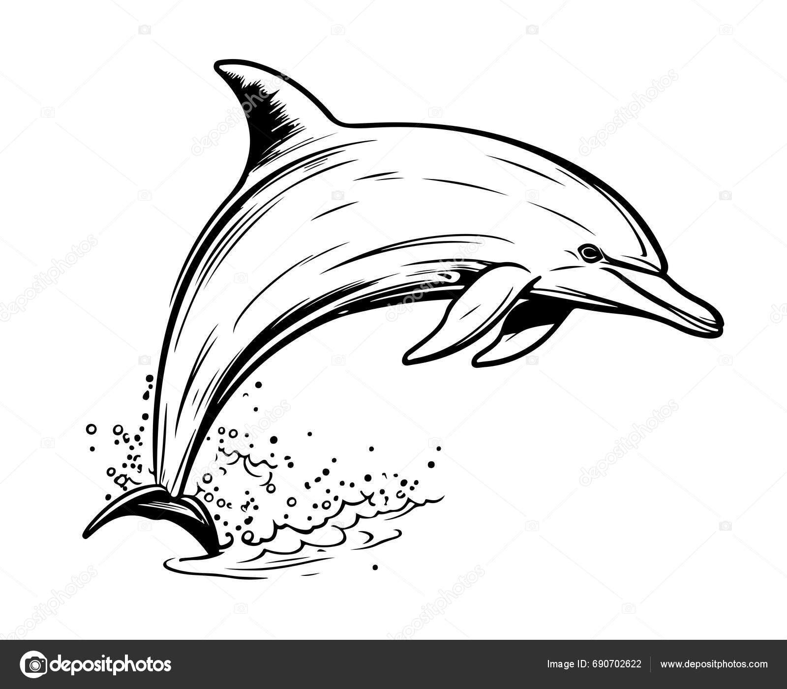 Dolphin Jumping Hand Drawn Sketch Vector Illustration Stock Vector by ...