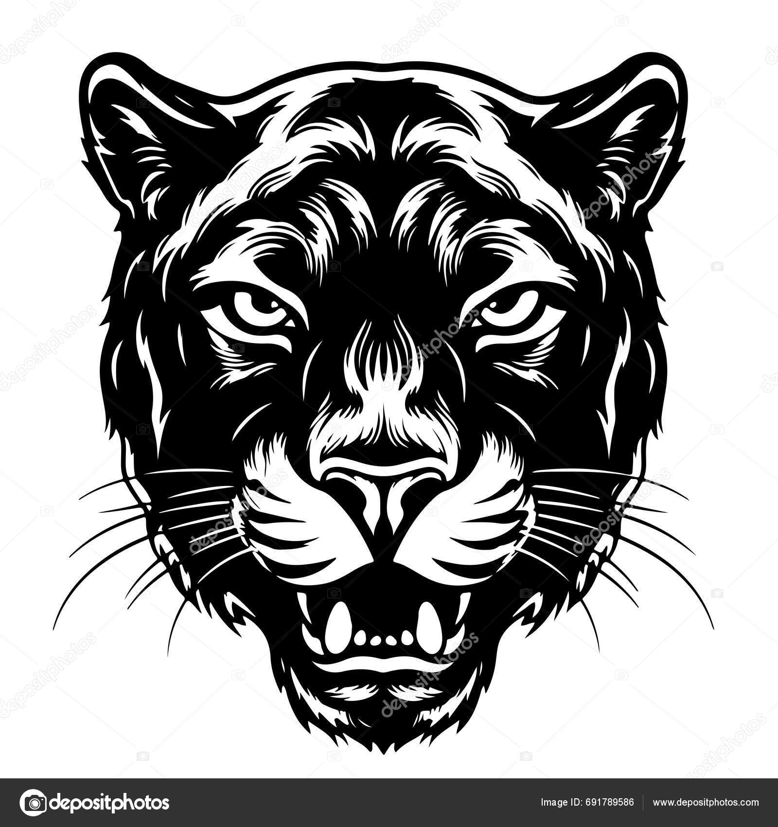 Pantera Negra Retrato Dibujado Mano Dibujo Ilustración Animales ...