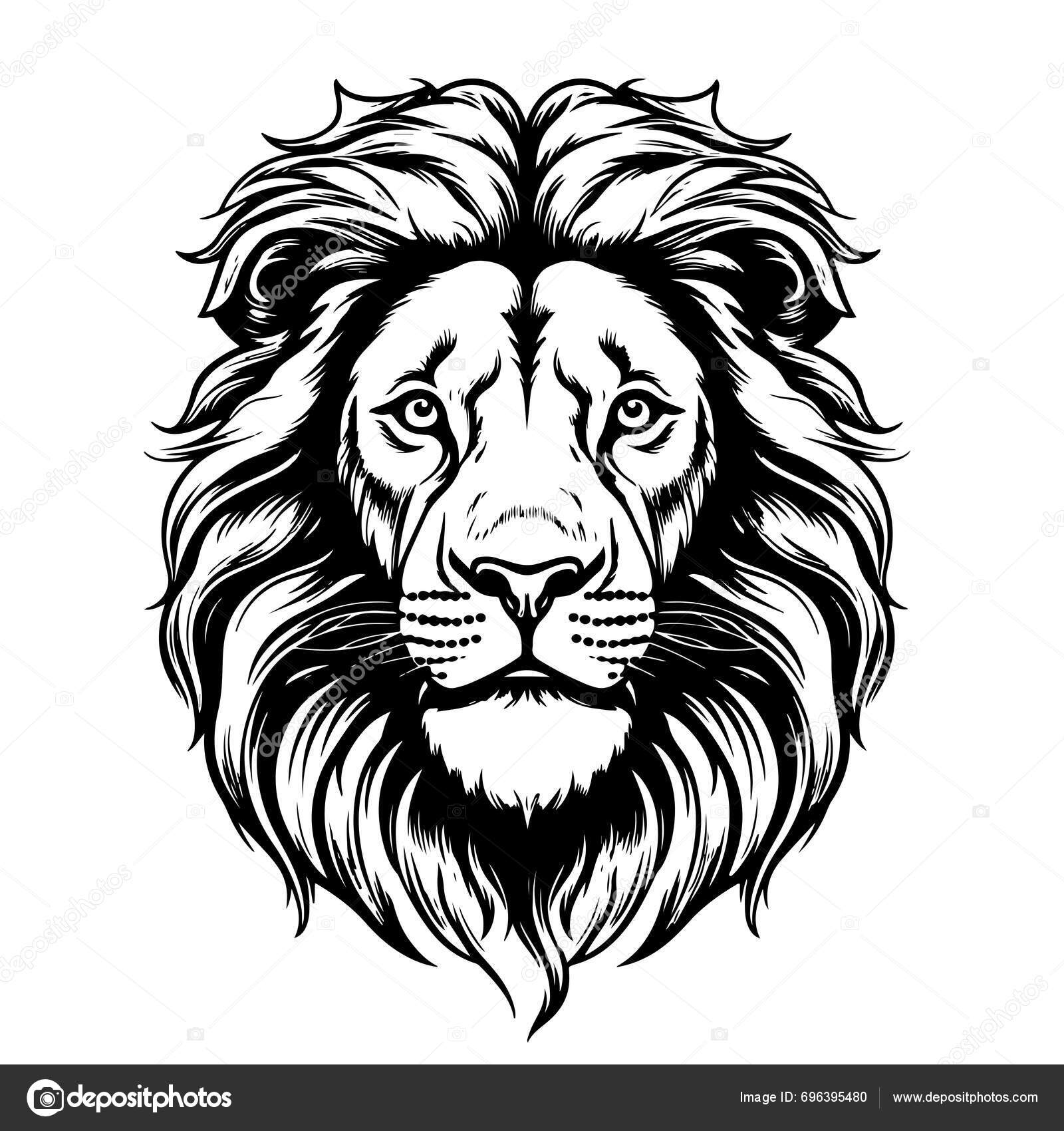 León Cabeza Etiqueta Dibujado Mano Bosquejo Vector Ilustración Vector ...