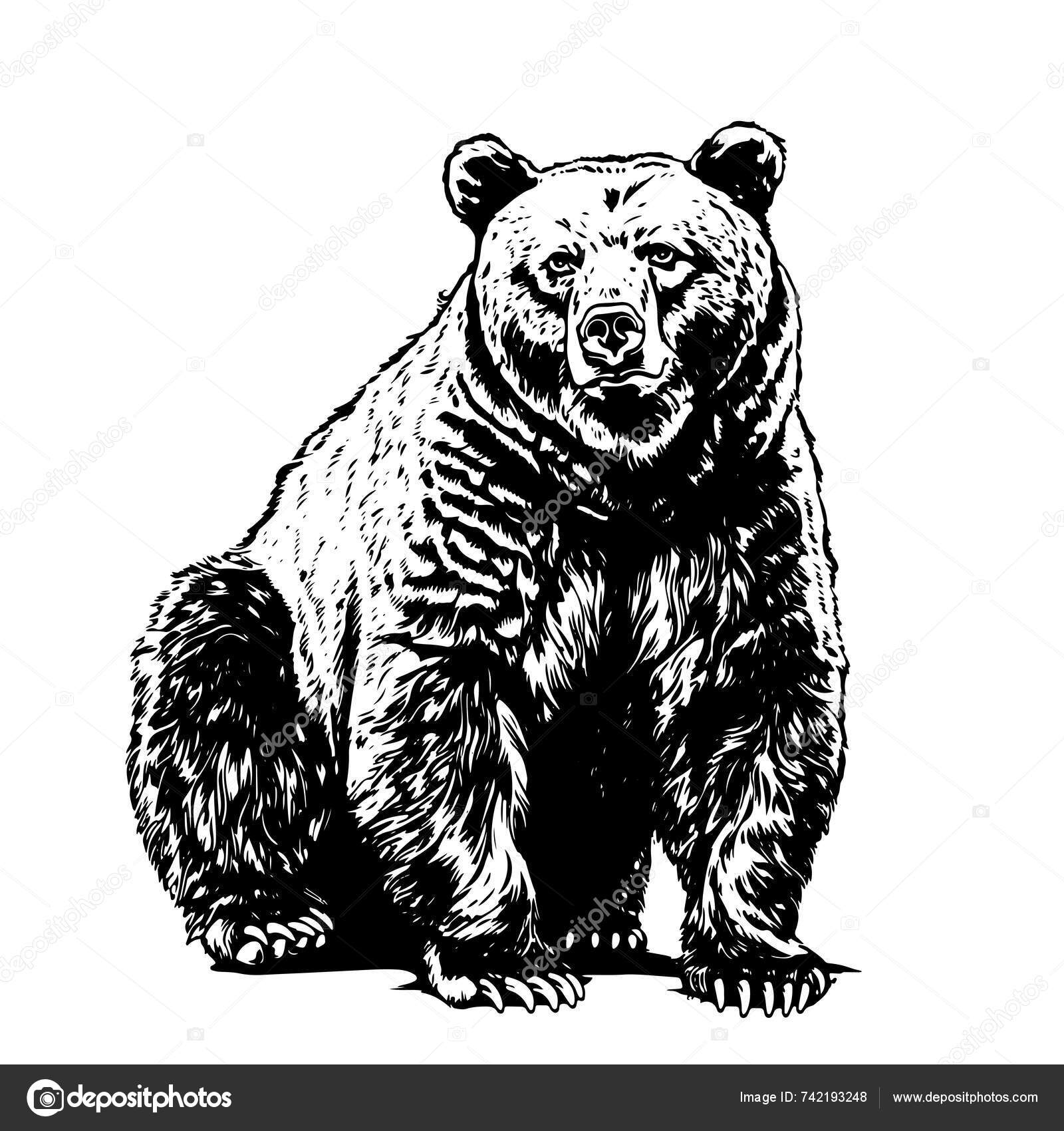 Grizzly Bear Standing Outline Bear Svg, Bear Head Svg, Grizzly Bear