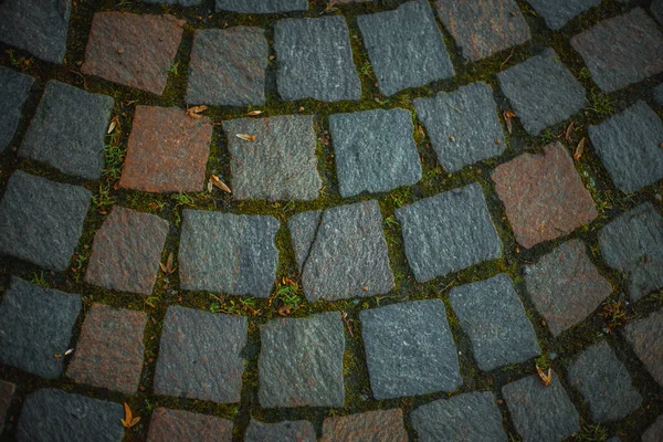 Asphalt pathway Stock Photos, Royalty Free Asphalt pathway Images ...