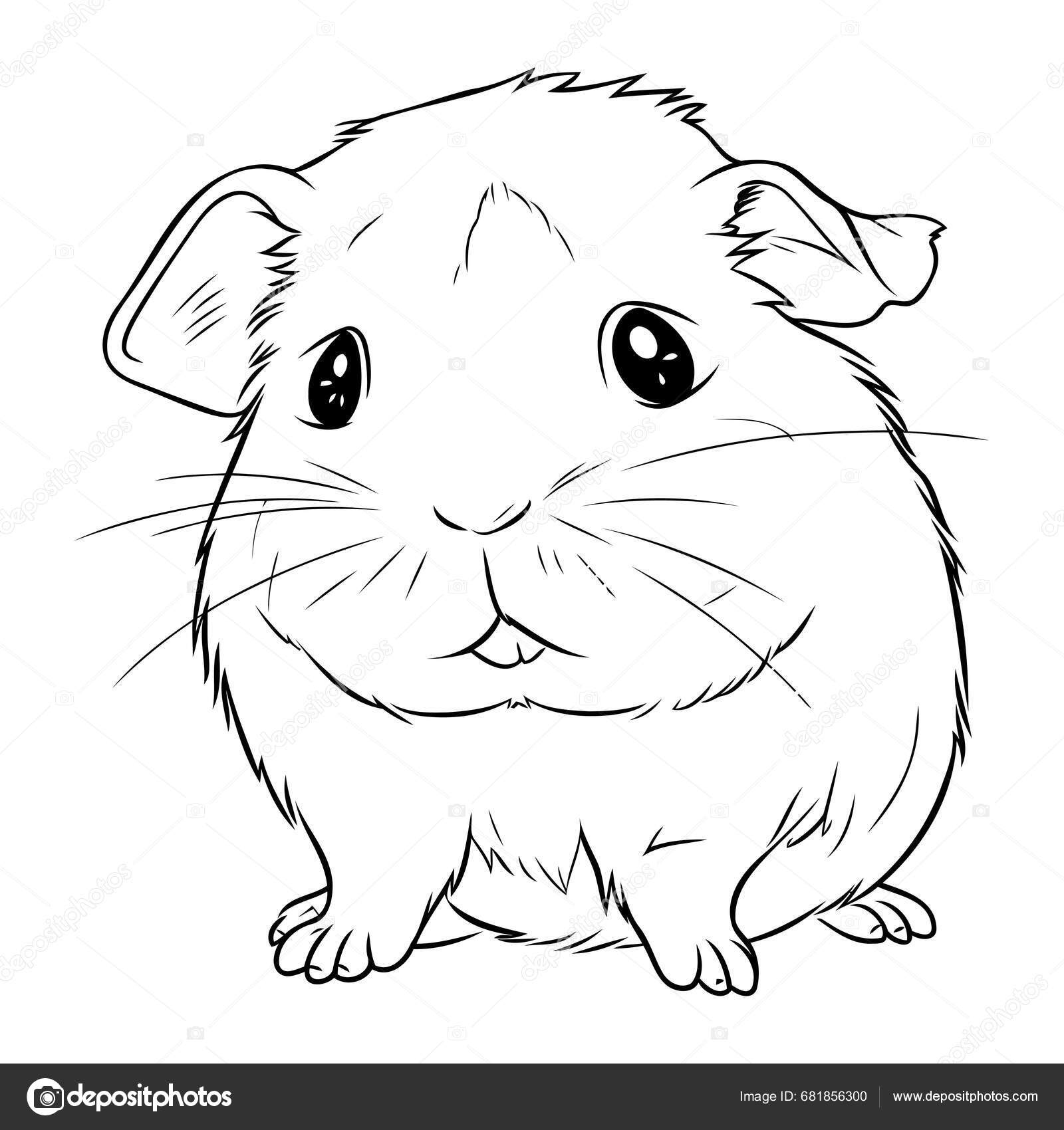 Söt Marsvin Svart Och Vitt Vektor Illustration För Målarbok vektor av ...