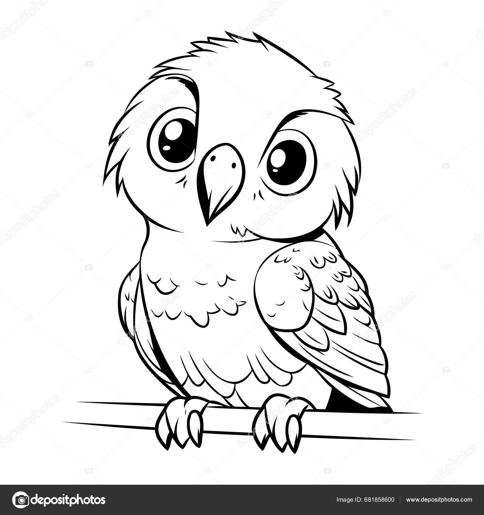 Owl Cartoon Images Black And White Owls Cartoon Black White Vector
