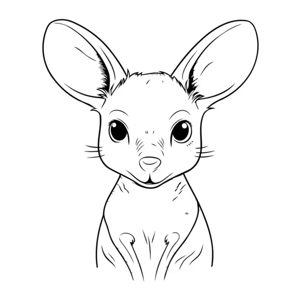 Roztomilý Kreslený Klokan Vektorová Ilustrace Pro Omalovánky Stock ...