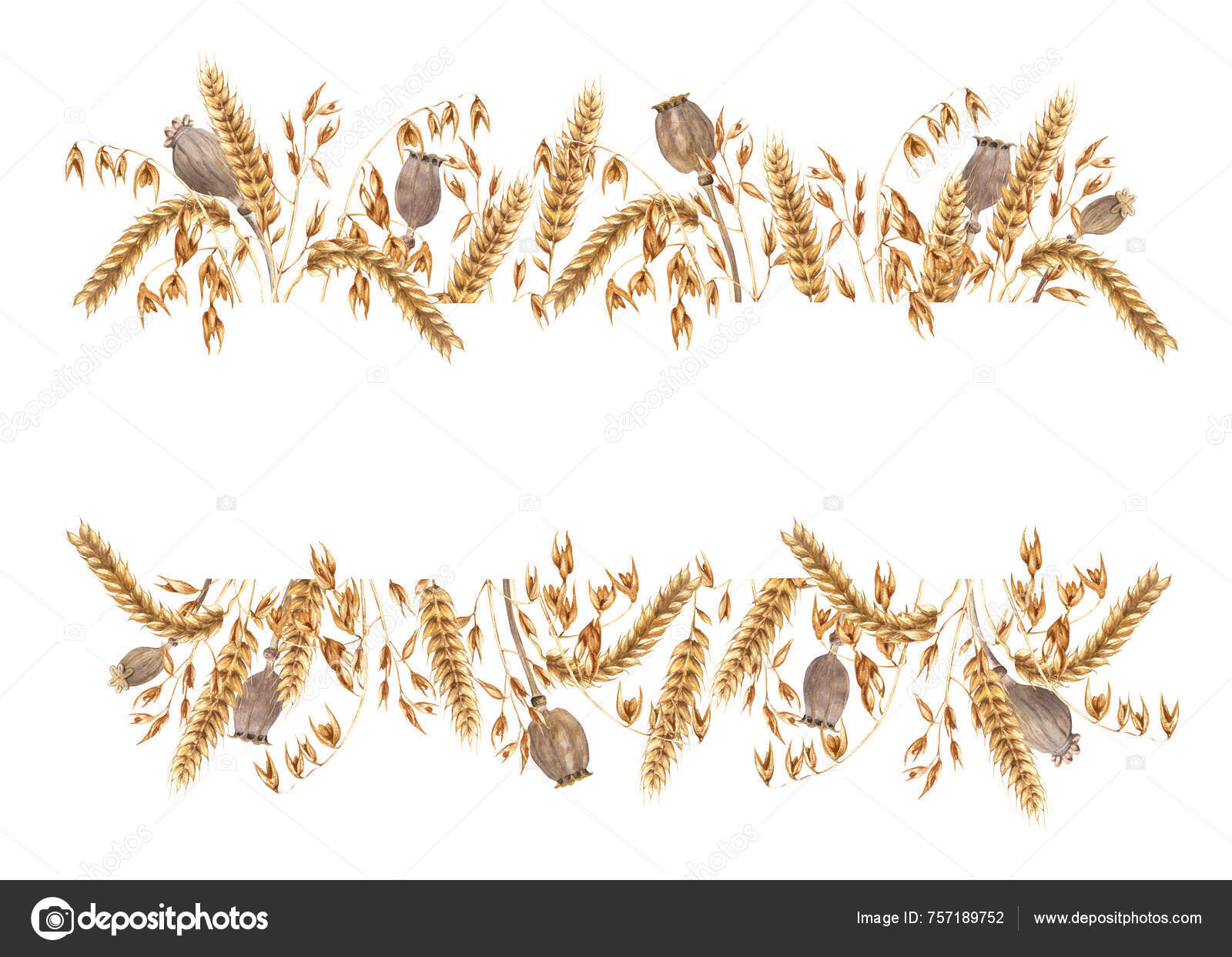 Horizontal Banner Border Template Frame Oat Branches Dried Poppy Seed ...