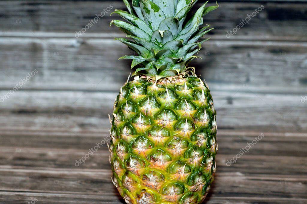La piña (Ananas comosus), una planta tropical con un fruto comestible ...