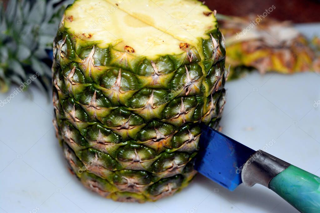 La piña (Ananas comosus), una planta tropical con un fruto comestible ...