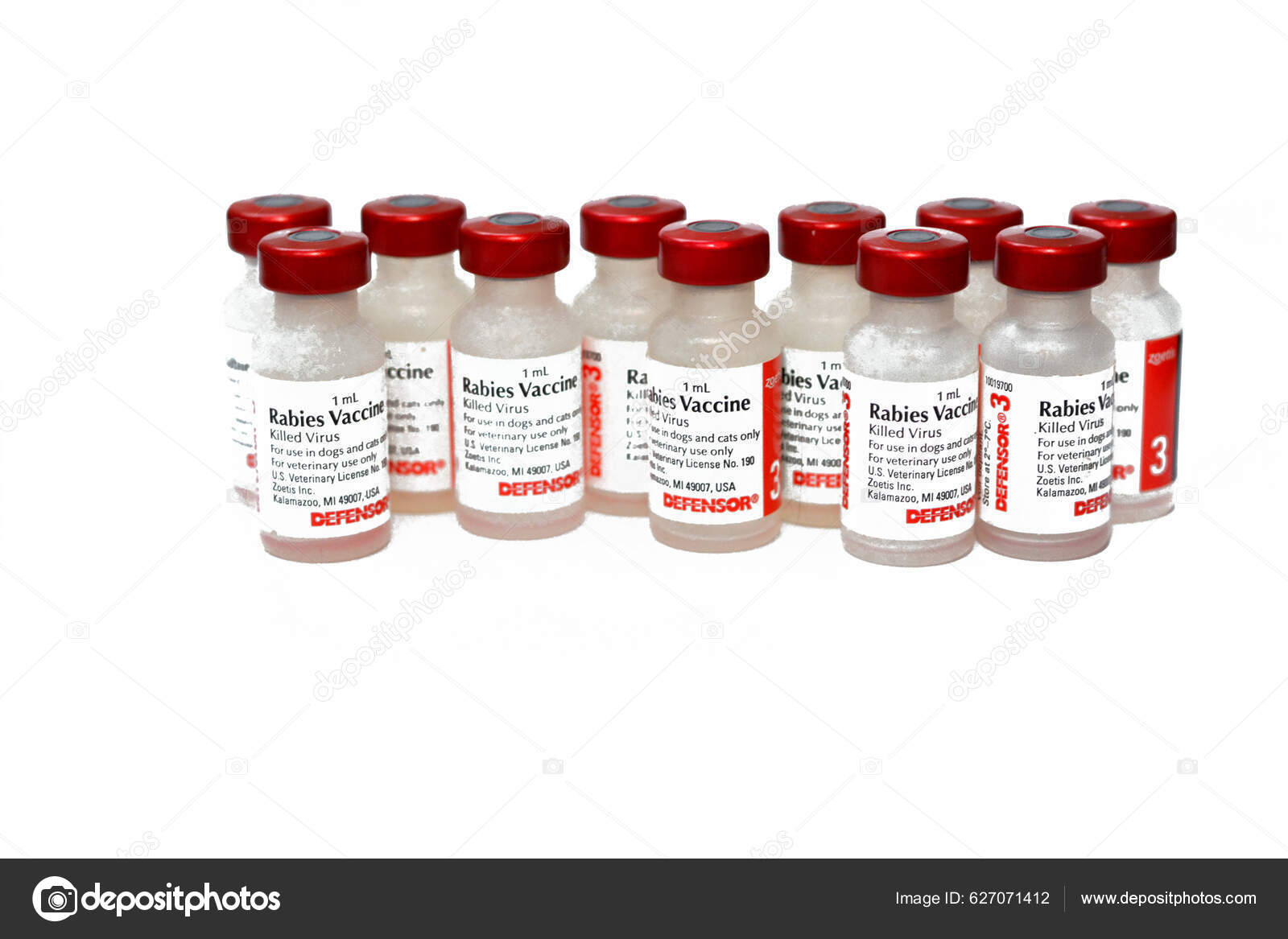 Cairo Egypt December 2022 Rabis Vaccine Killed Virus Use Dogs – Stock ...