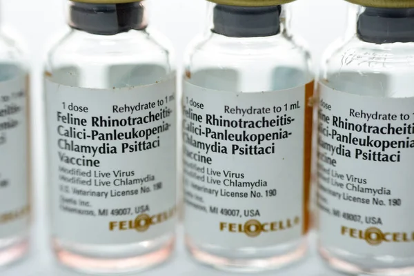 Cairo Egypt December 2022 Zylexis Vaccine Prevention Treatment Multiple ...