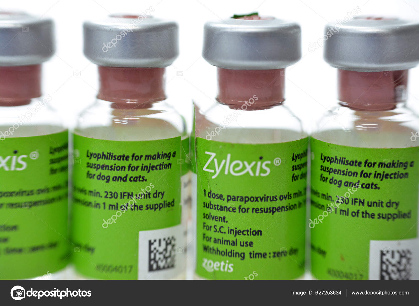 Cairo Egypt December 2022 Zylexis Vaccine Prevention Treatment Multiple ...