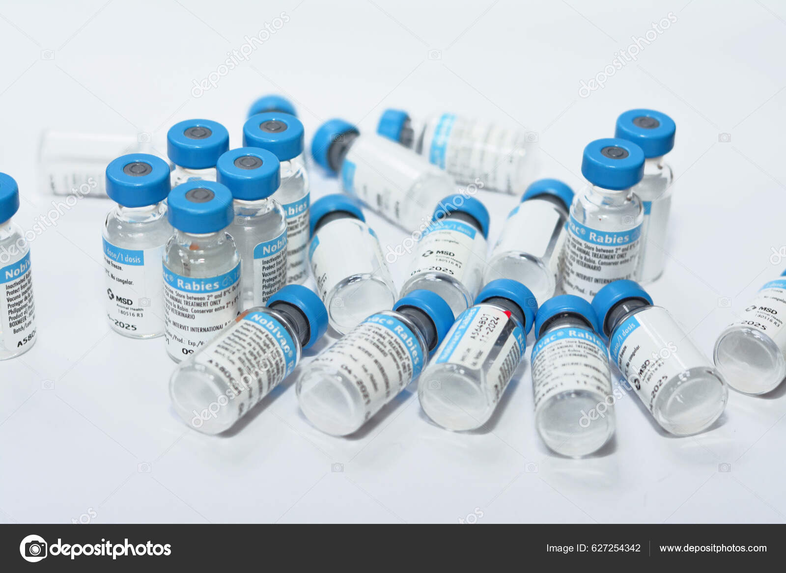 Cairo Egypt December 2022 Nobivac Rabies Stable Inactivated Adjuvanted ...