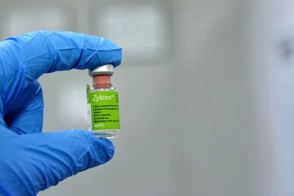 Parapox Stock Photos, Royalty Free Parapox Images | Depositphotos