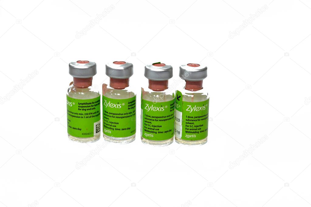 El Cairo, Egipto, 8 de diciembre de 2022: Vacuna contra el Zylexis para ...