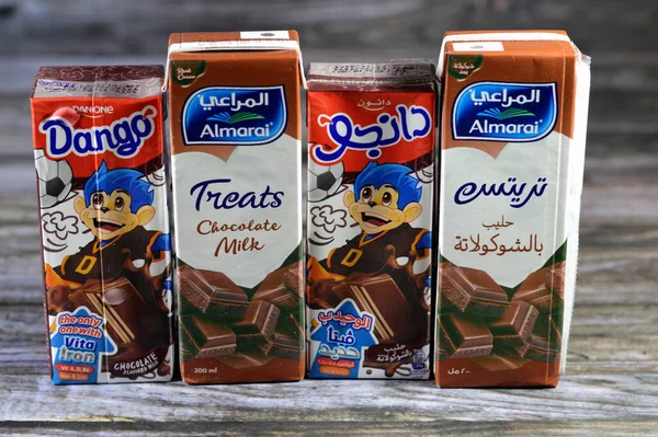 Cairo Egypt January 2024 Danone Dango Chocolate Milk Type Flavoured ...