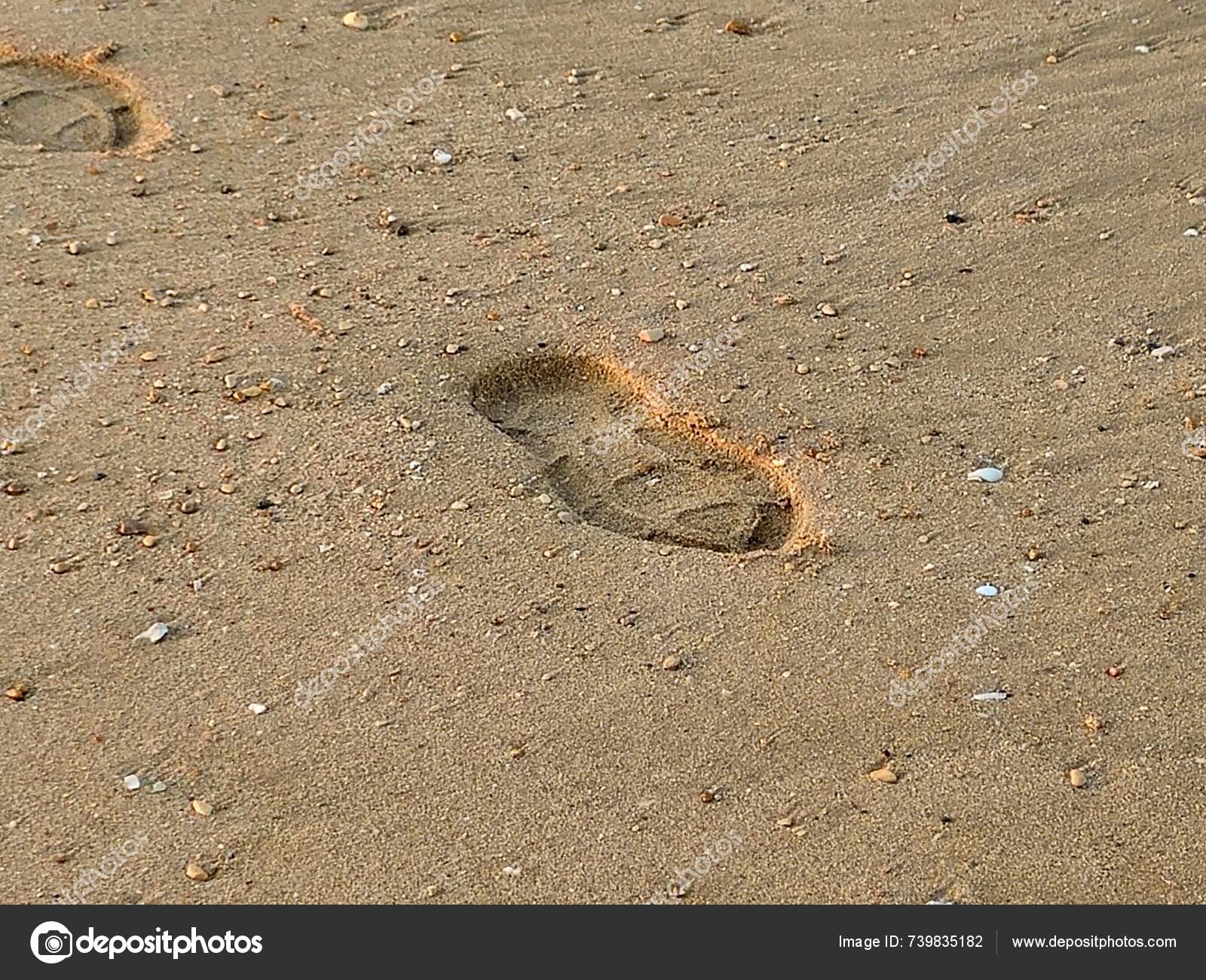 Footprint Beach Sand Mark Made Person's Foot Impression Feet Surface — Stock Photo © Tamer ...
