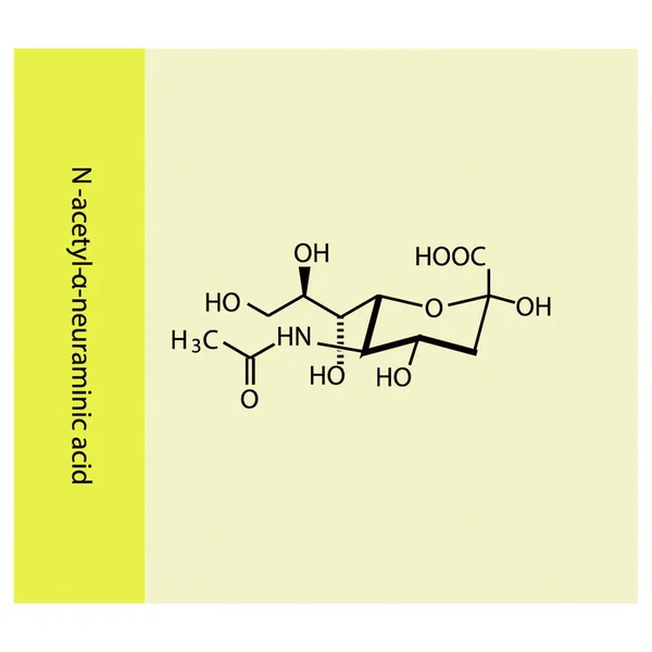 Diagrama de estructura molecular del ácido N-acetil-neuramínico (Neu5Ac ...