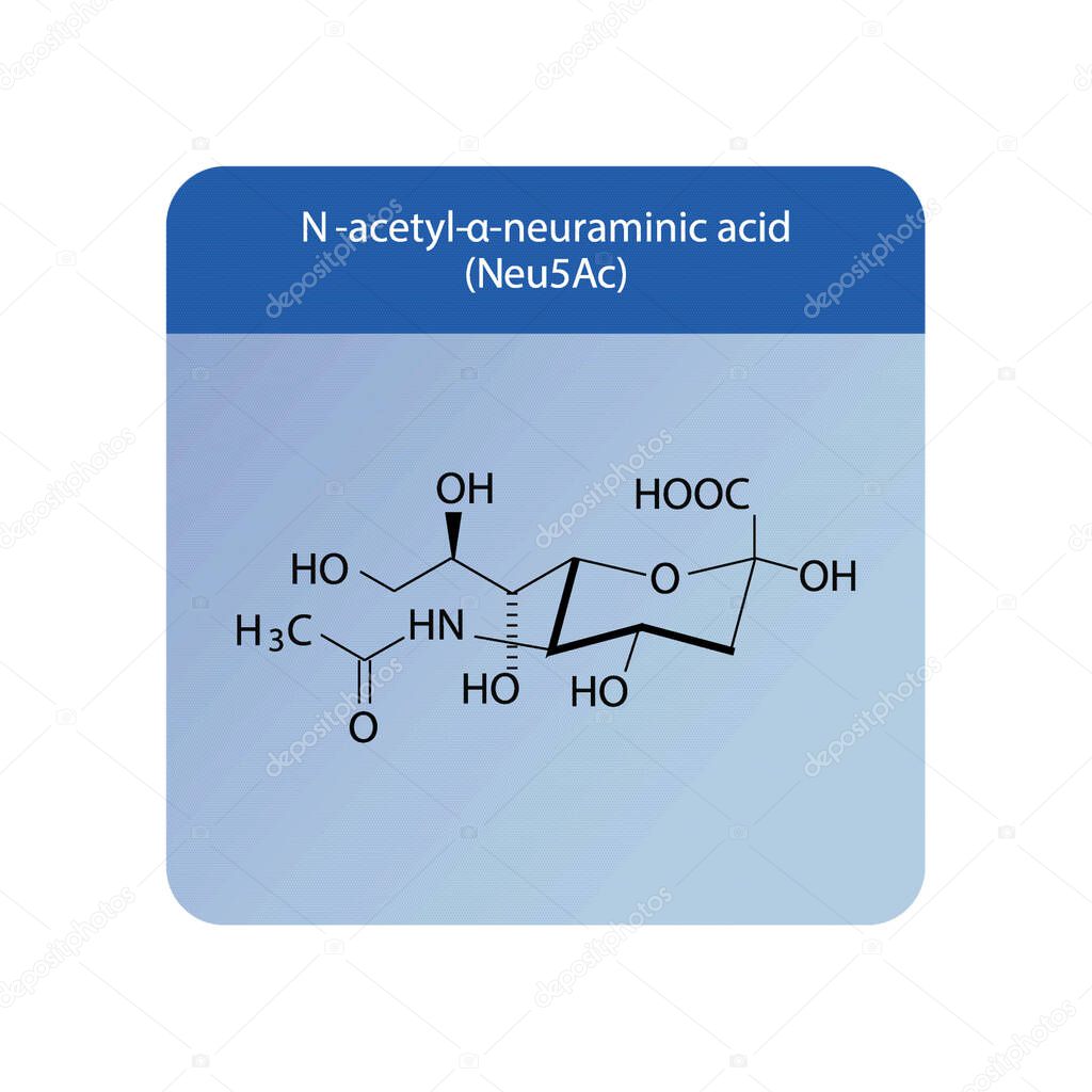 Diagrama de estructura molecular del ácido N-acetil-neuramínico (Neu5Ac ...