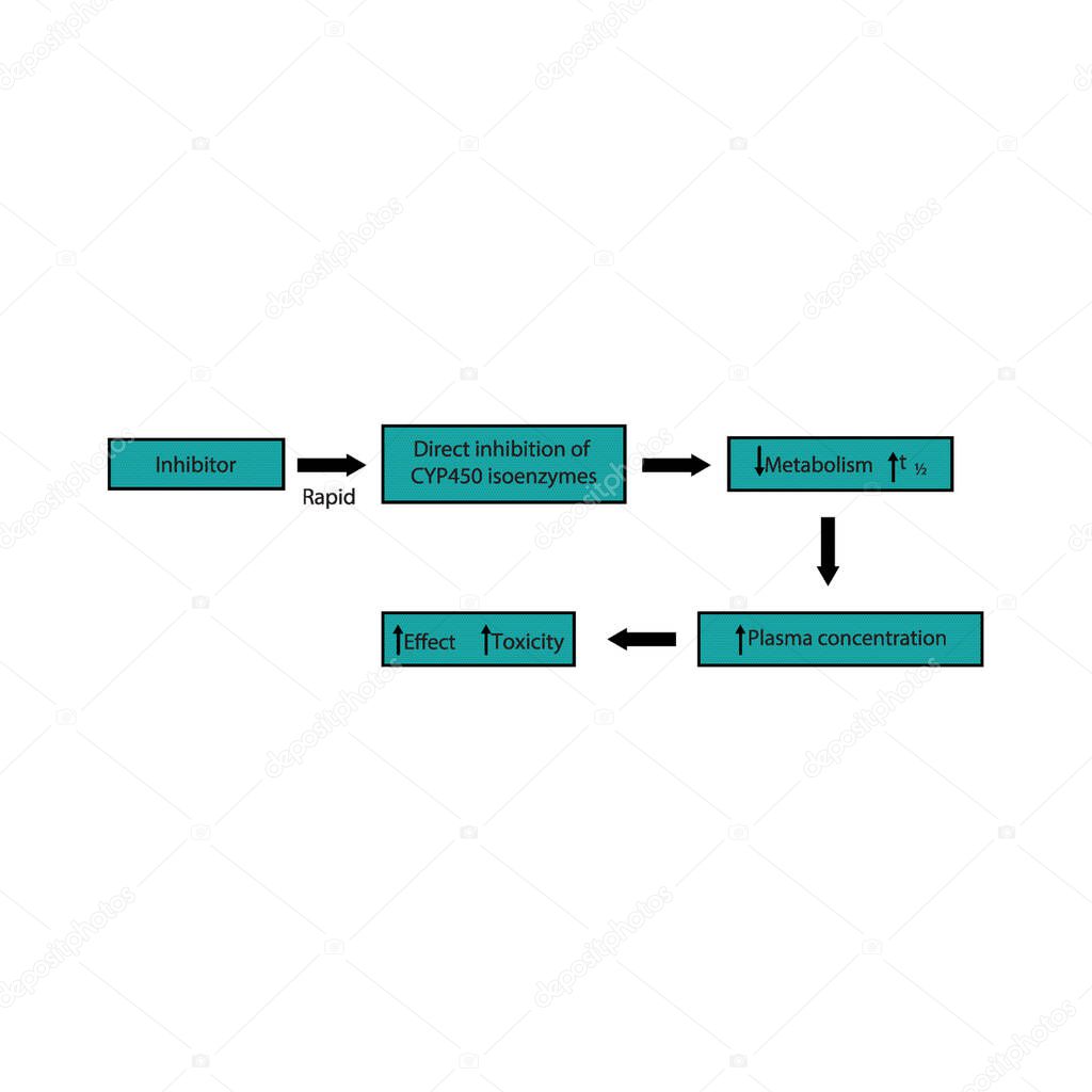 Diagrama del proceso del inhibidor del metabolismo de los fármacos ...
