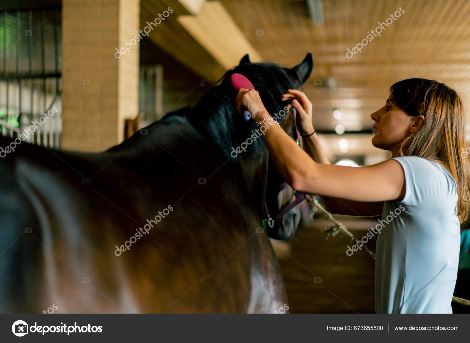 Close Girl Stable Worker Combing Out Mane Black Horse Stable Stock ...