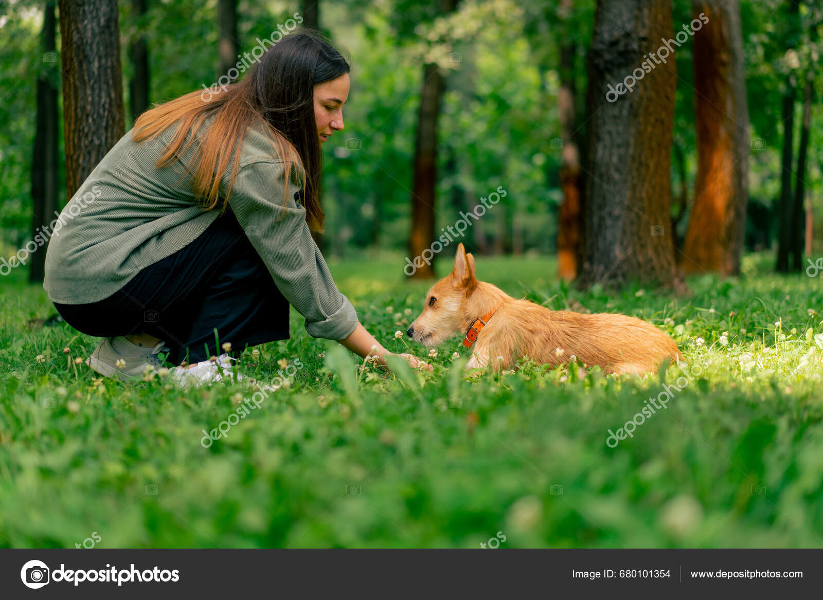 Una Joven Caminando Parque Con Perro Jugando Con Palo Burlándose — Foto ...