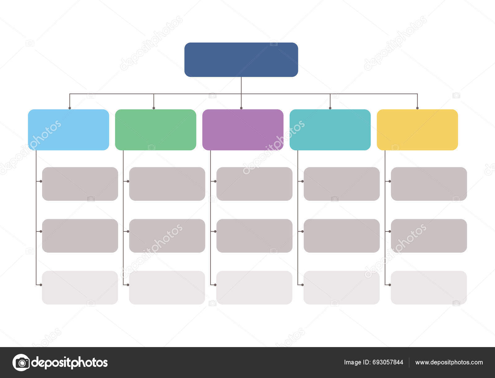 Infographic Flowchart Workflow Diagram Organization Chart Vector ...
