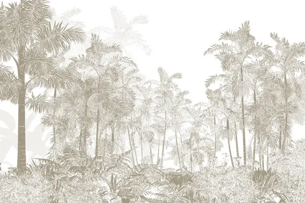 Dibujos del clima tropical Stock Photos, Royalty Free Dibujos del clima ...