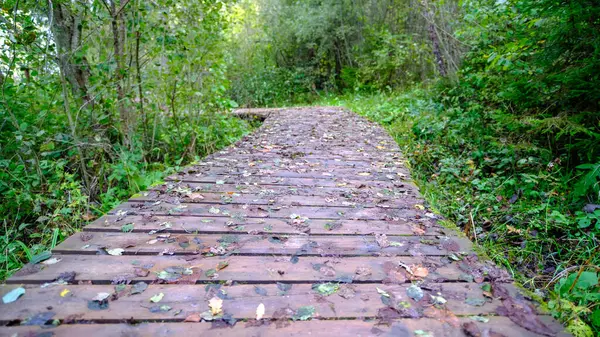 El camino al cielo Stock Photos, Royalty Free El camino al cielo Images ...