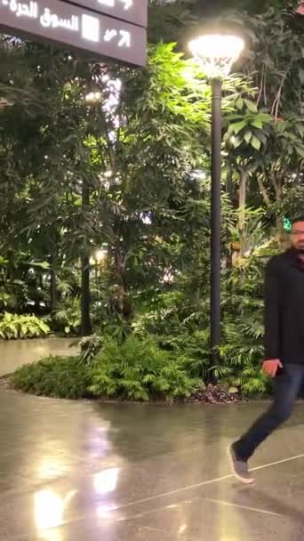 Doha Qatar Garden Tropical Plants Hamad International Airport Doha ...