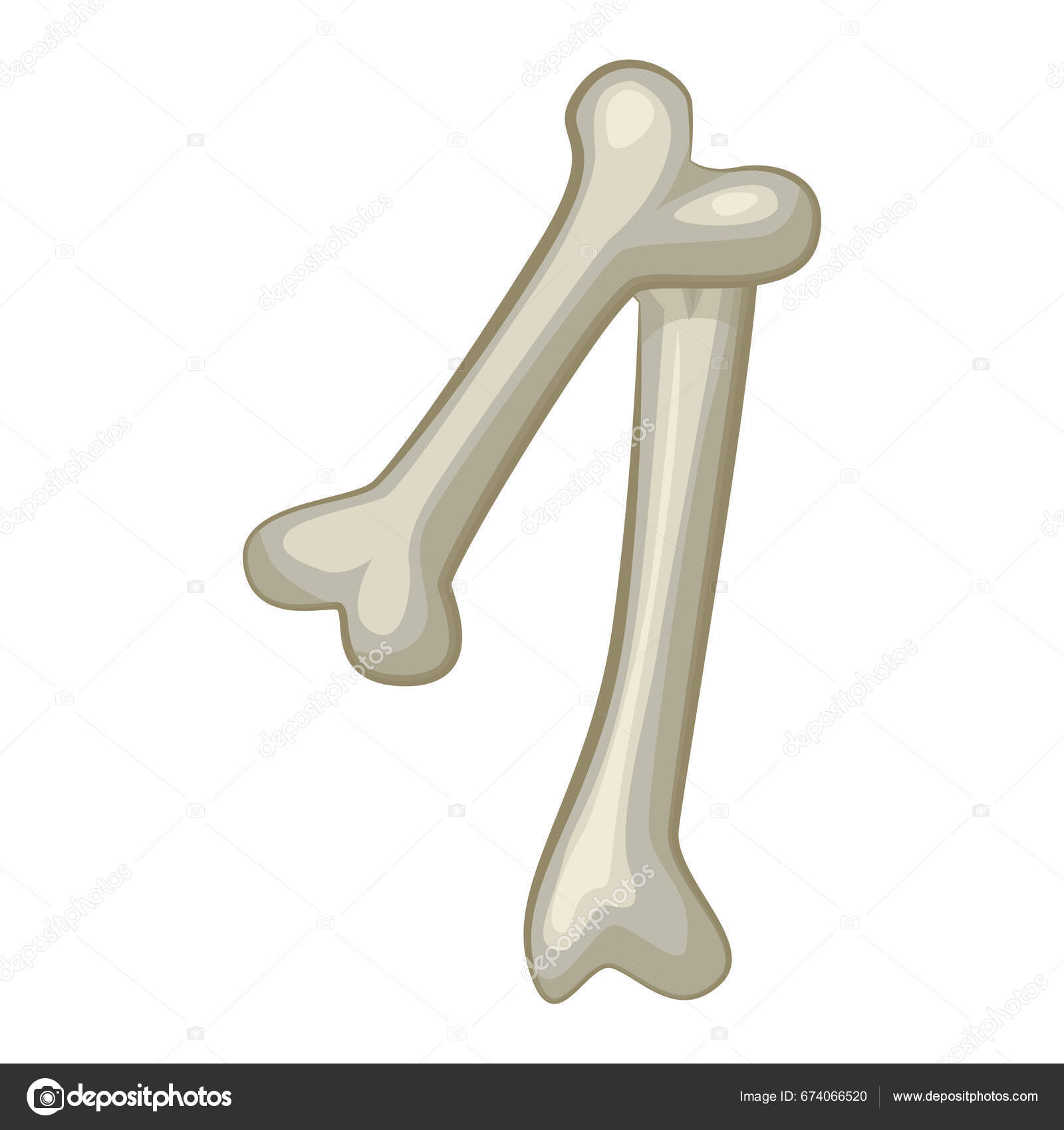 Hueso Número Uno Dígito Uno Dibujos Animados Número Aislado Sobre ...